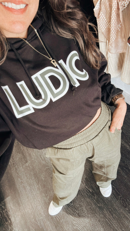 LUDIC