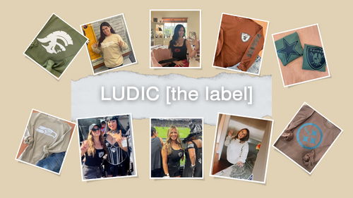 LUDIC